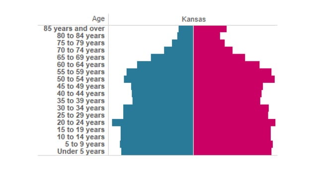 State Population Pyramids | PPTX