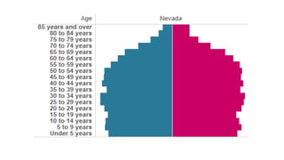 State Population Pyramids | PPTX