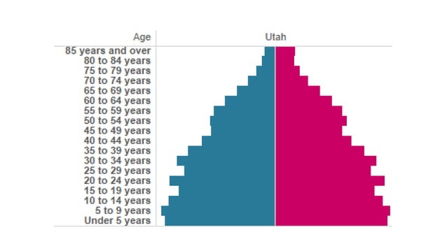 State Population Pyramids | PPTX