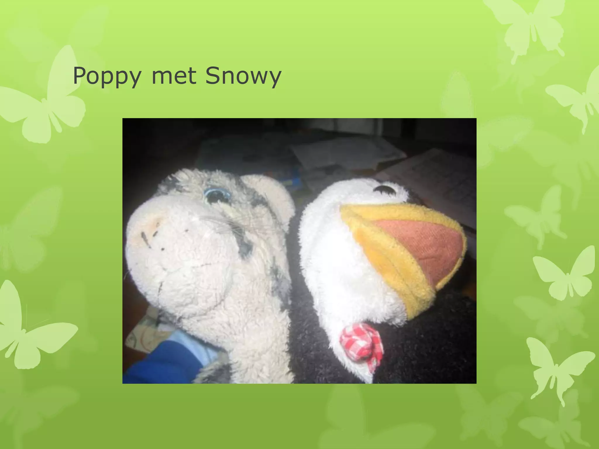 Poppy’s adventure with Isobel | PPT