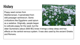 Poppy seed | PPTX