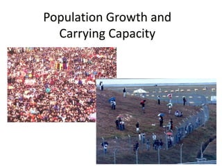 Populaiton growth and carrying capacity cer | PPTX