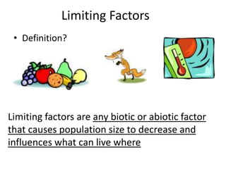 Limiting Factor Definition