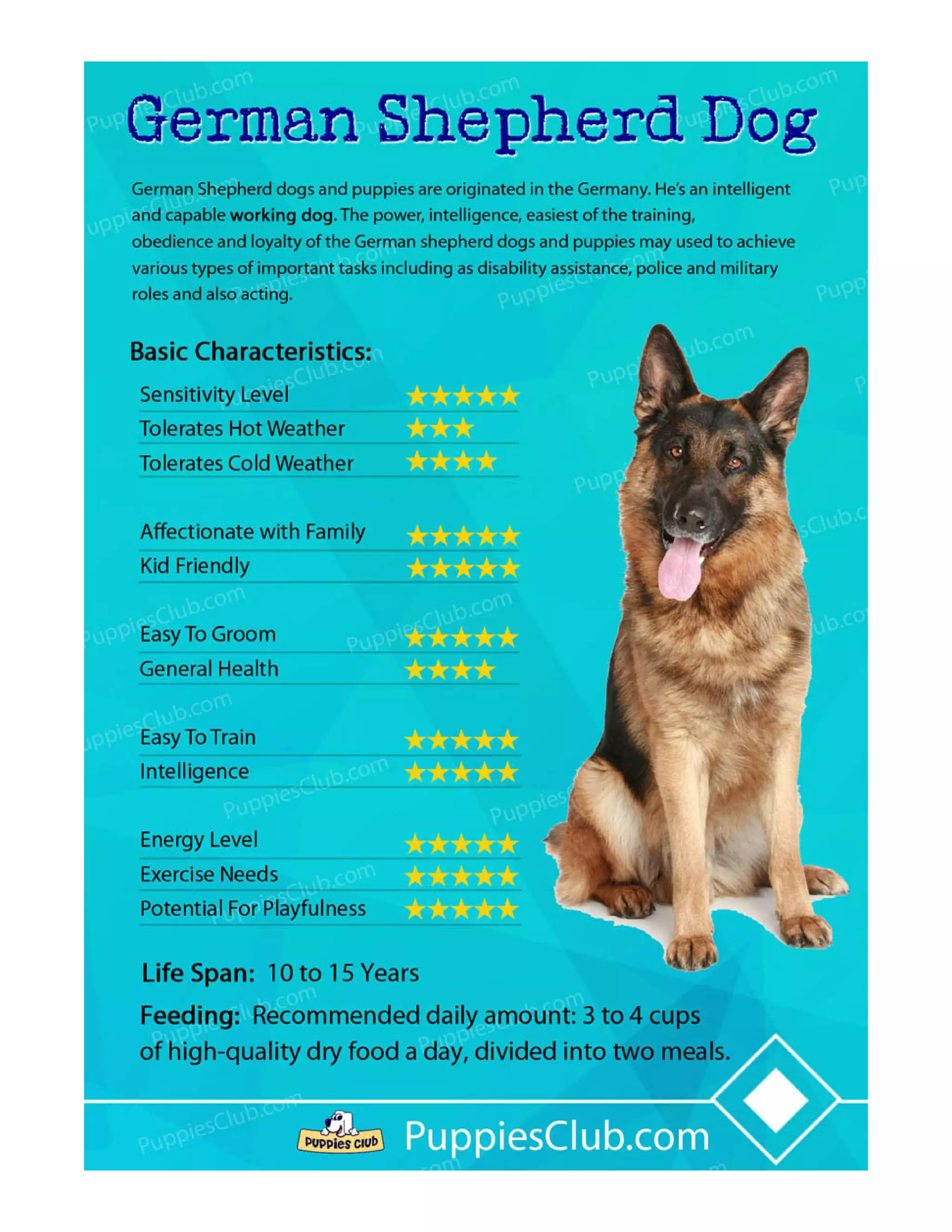 Most Popular Dog Breeds Characteristics | PDF