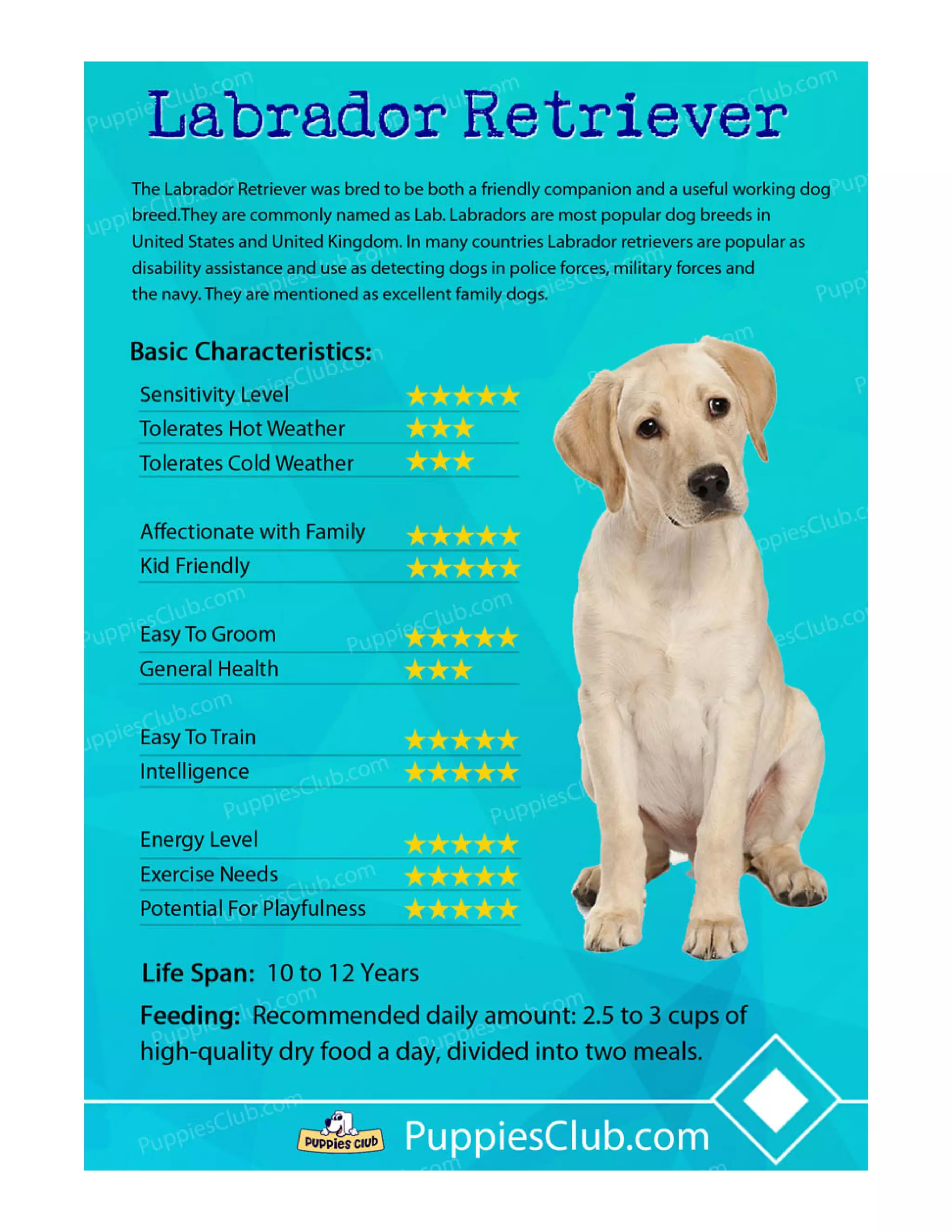 Most Popular Dog Breeds Characteristics | PDF