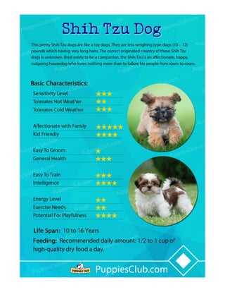 Most Popular Dog Breeds Characteristics | PDF