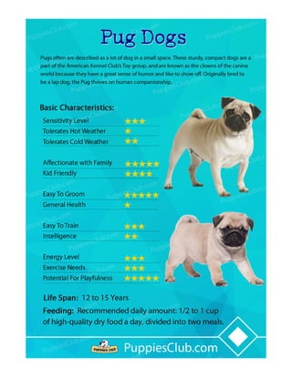 Most Popular Dog Breeds Characteristics | PDF