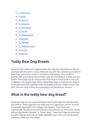 Popular 18 Teddy Bear Dog Breeds. breed barkspdf | PDF