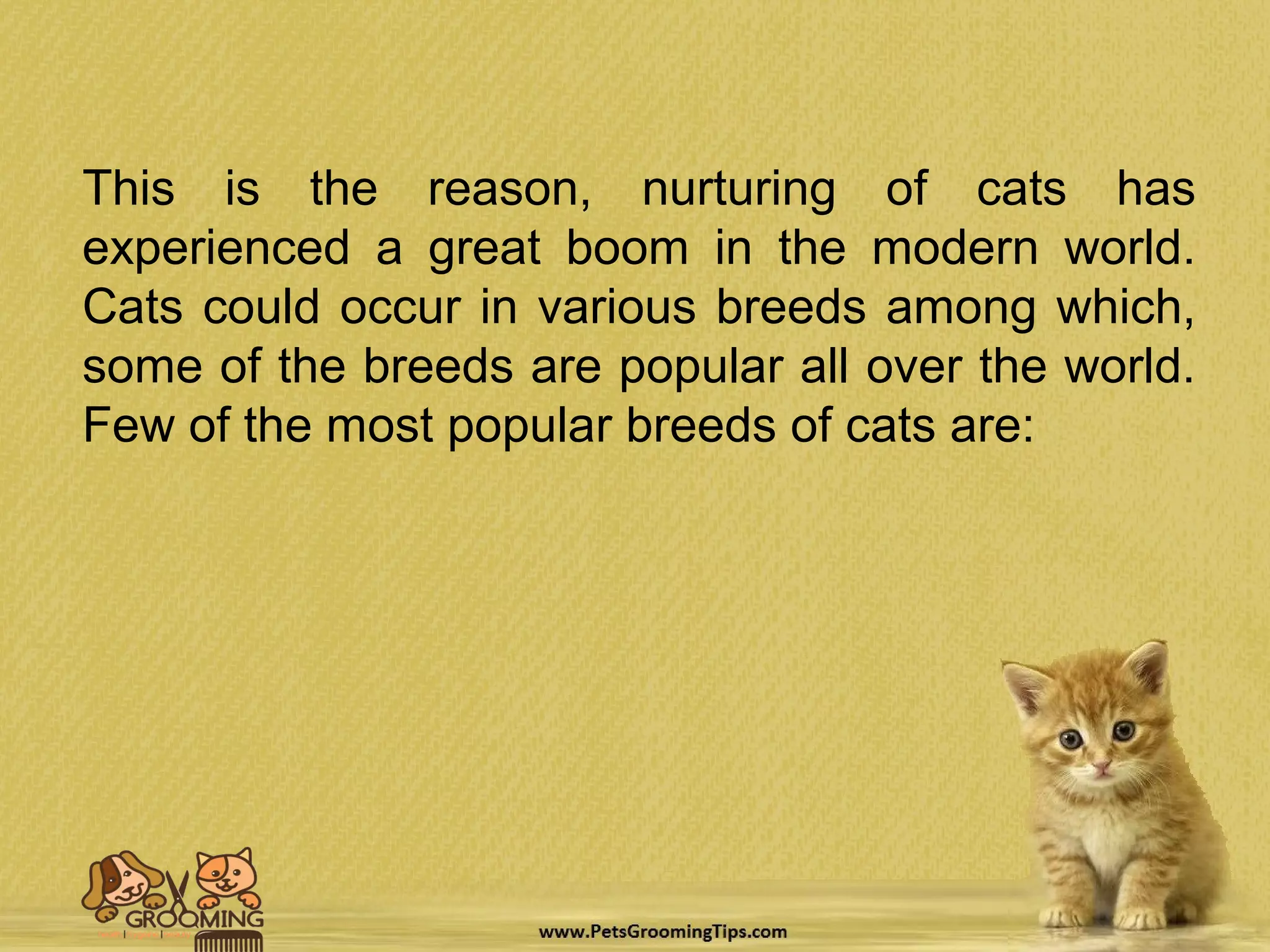 Popular Breeds of cats | PPT