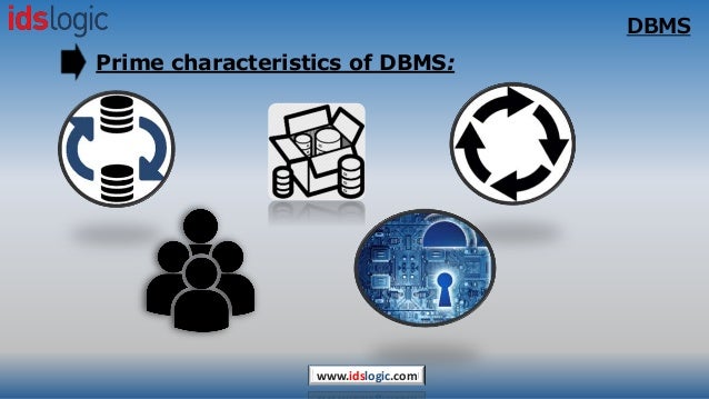 Popular DBMS That Businesses Prefer to Use An Overview