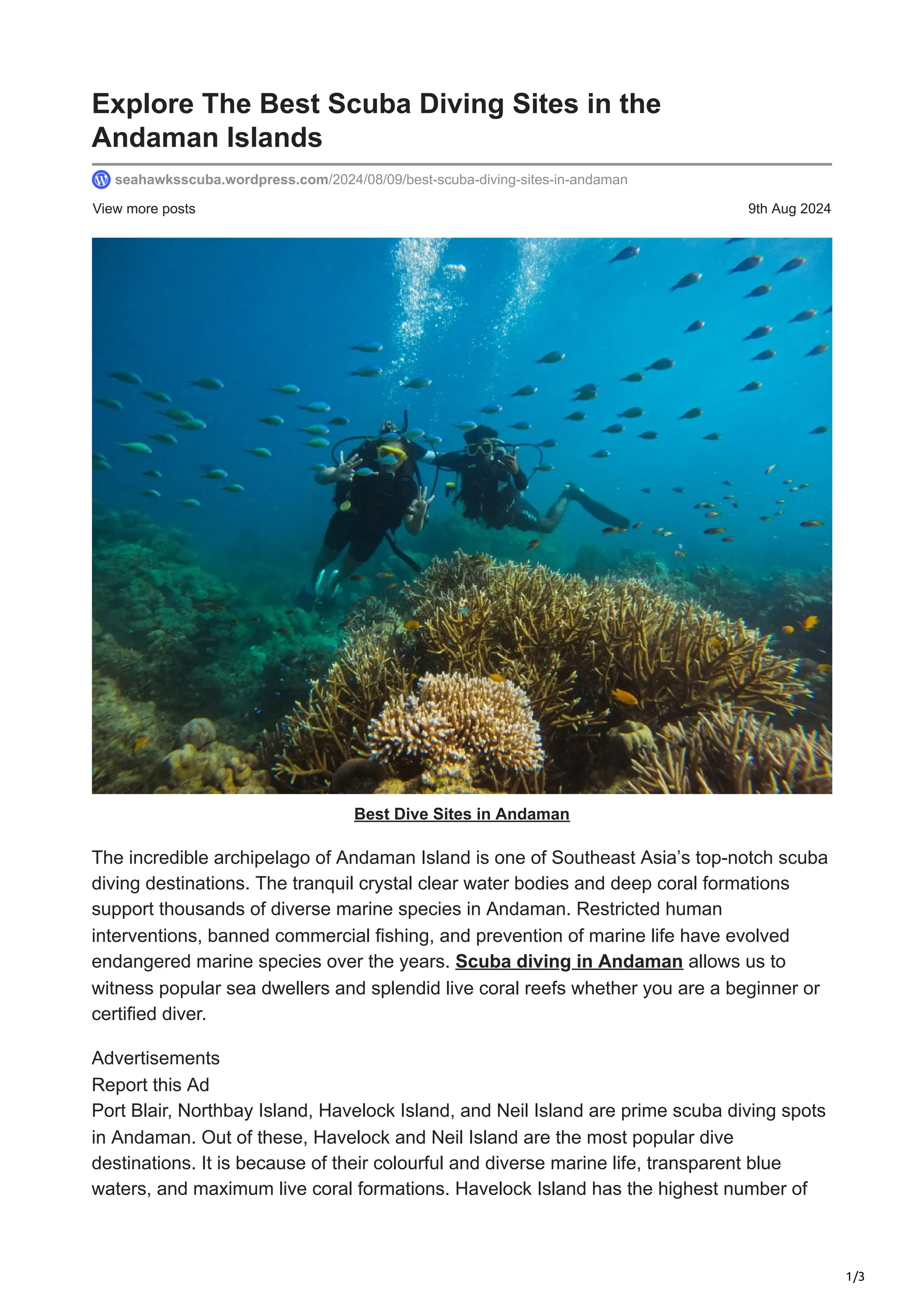 Experience scuba diving at the best dive sites in Andaman | PDF | Scuba ...