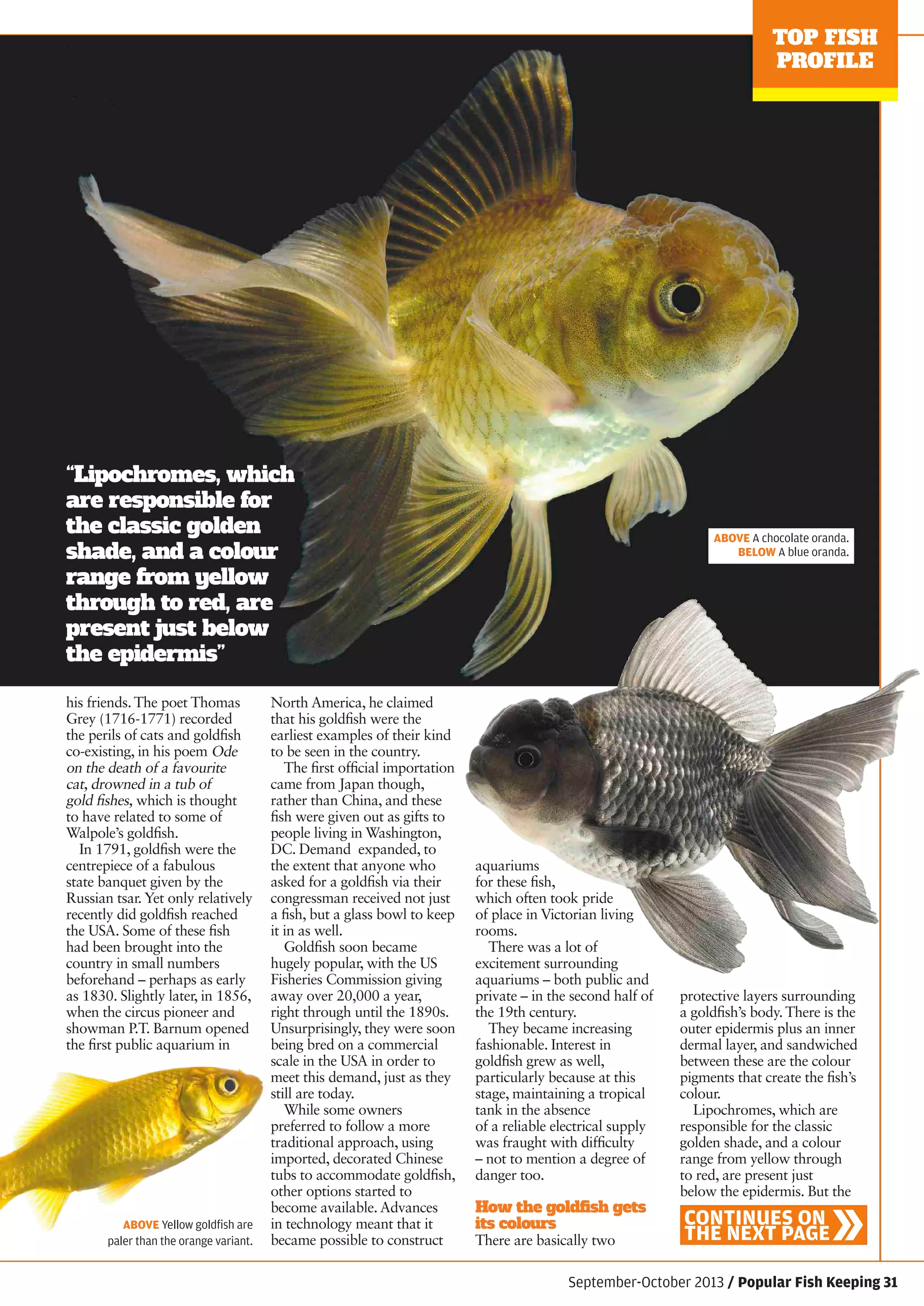 Popular fish keeping N°2 | PDF