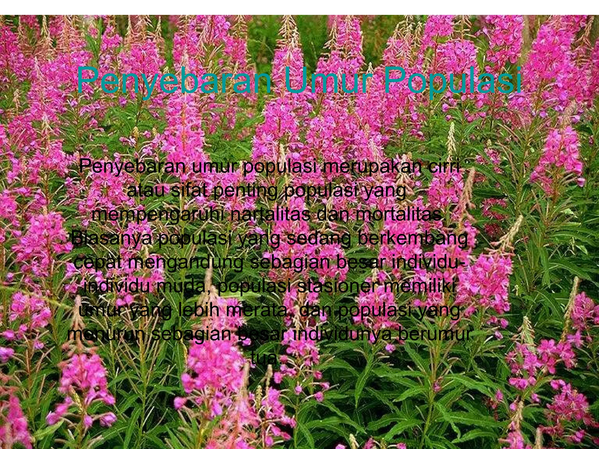 Populasi dan karakteristik populasi | PPT