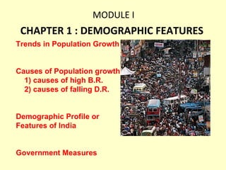 Population | PPT
