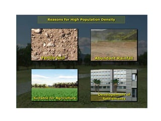 Population class 8 | PPTX