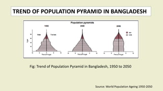 Population of Bangladesh | PPTX