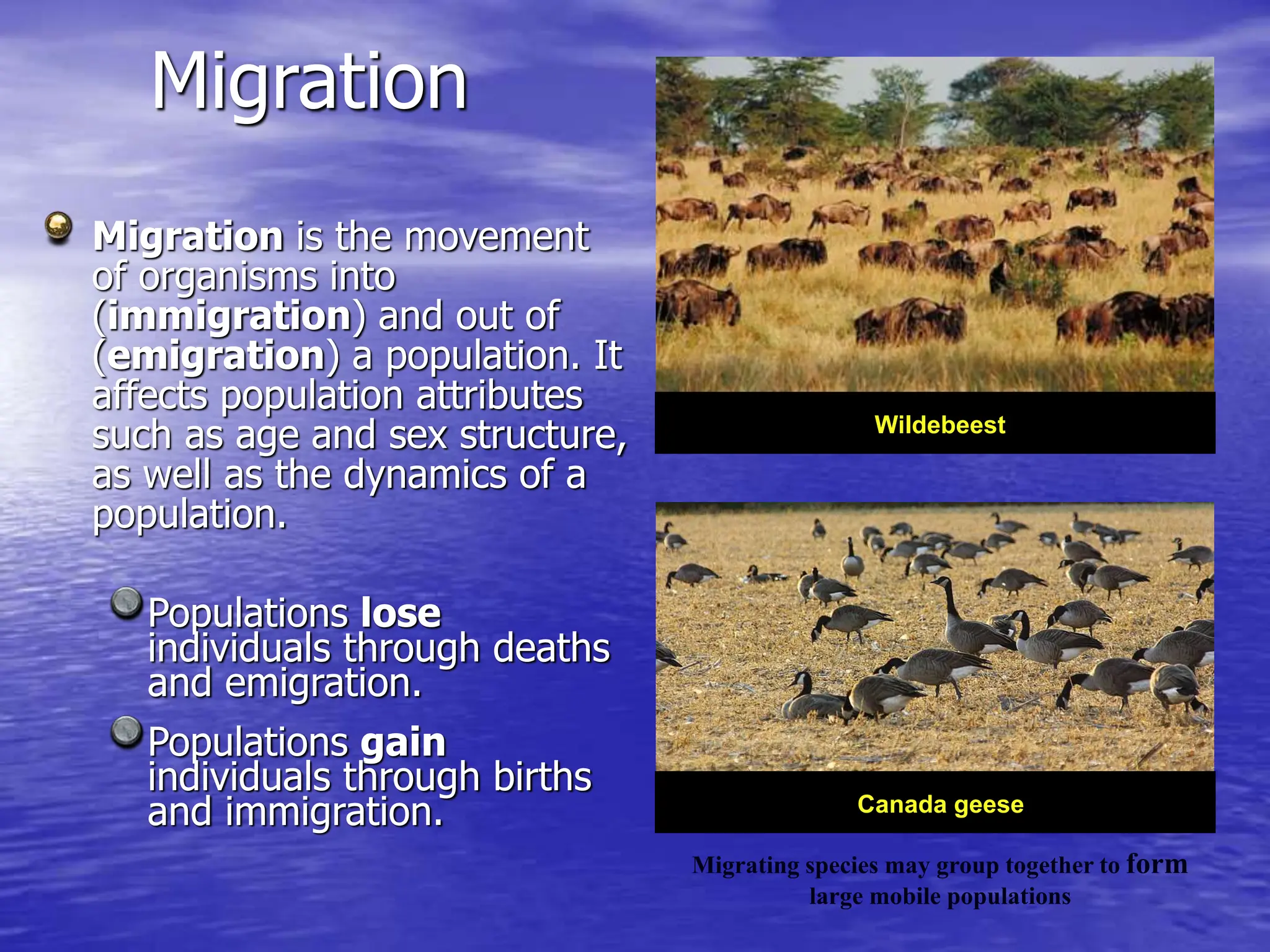 STUDYING POPULATION POWERPOINT PRESENTATION | PPT