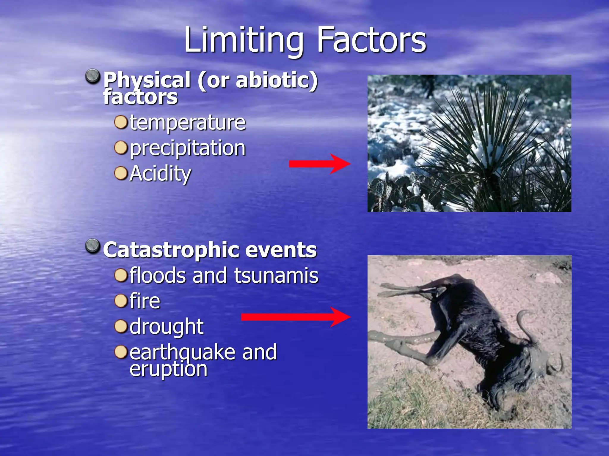 STUDYING POPULATION POWERPOINT PRESENTATION | PPT