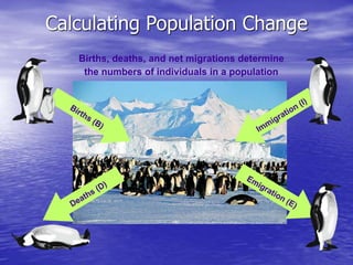 STUDYING POPULATION POWERPOINT PRESENTATION | PPT