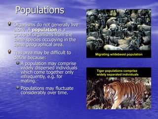 STUDYING POPULATION POWERPOINT PRESENTATION | PPT