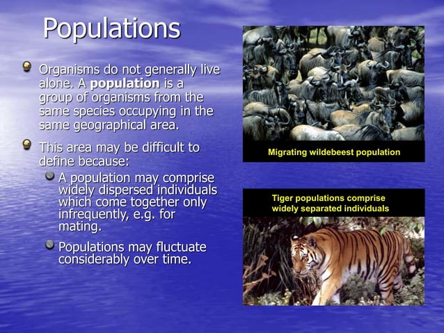 STUDYING POPULATION POWERPOINT PRESENTATION | PPT