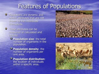 STUDYING POPULATION POWERPOINT PRESENTATION | PPT