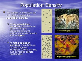 STUDYING POPULATION POWERPOINT PRESENTATION | PPT
