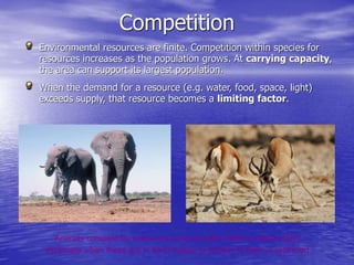 STUDYING POPULATION POWERPOINT PRESENTATION | PPT
