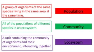 Population, Community, and Ecosystem (IGCSE Biology) | PPTX