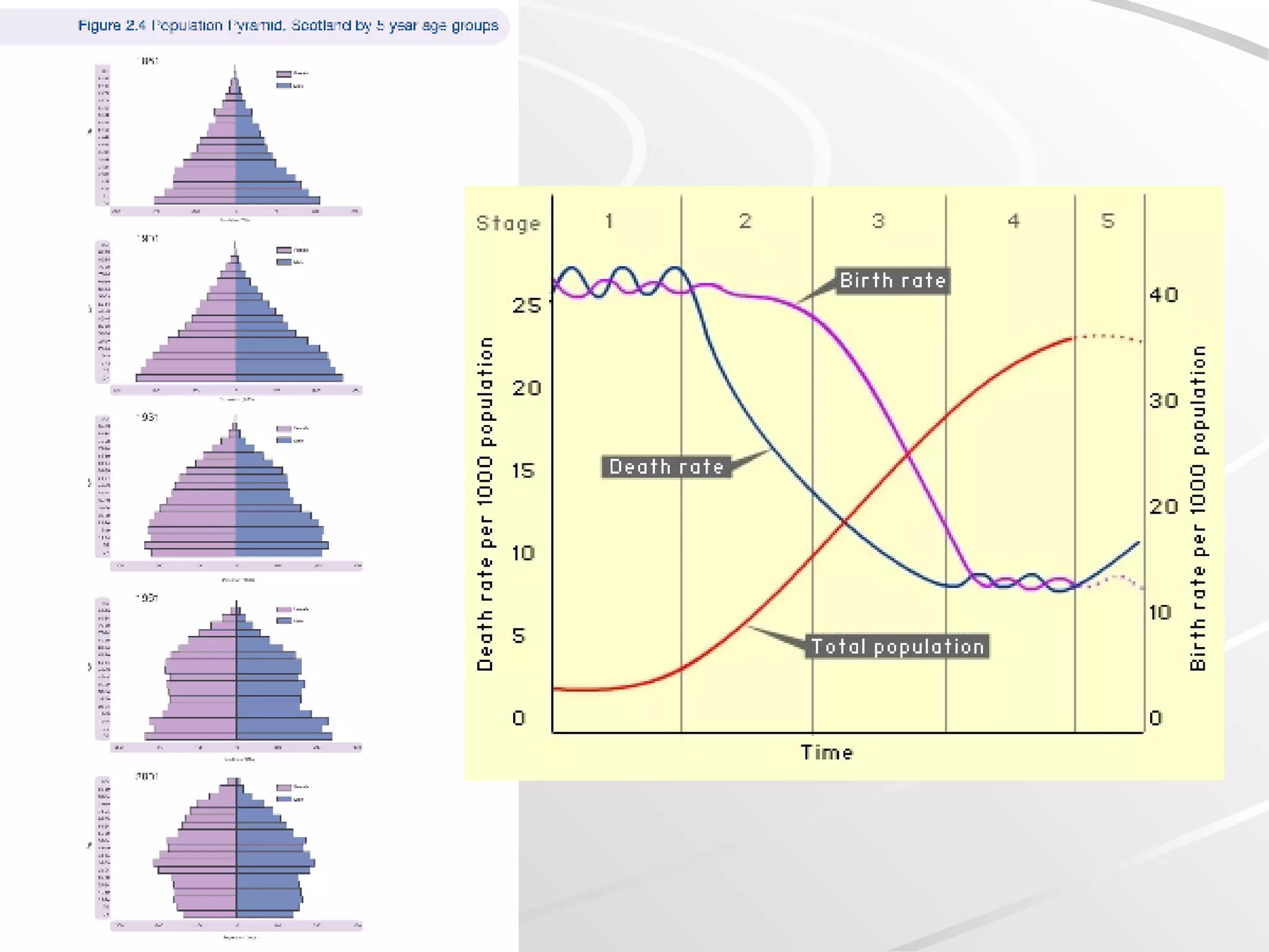 Population 4 Population Pyramids And The Dtm | PPT