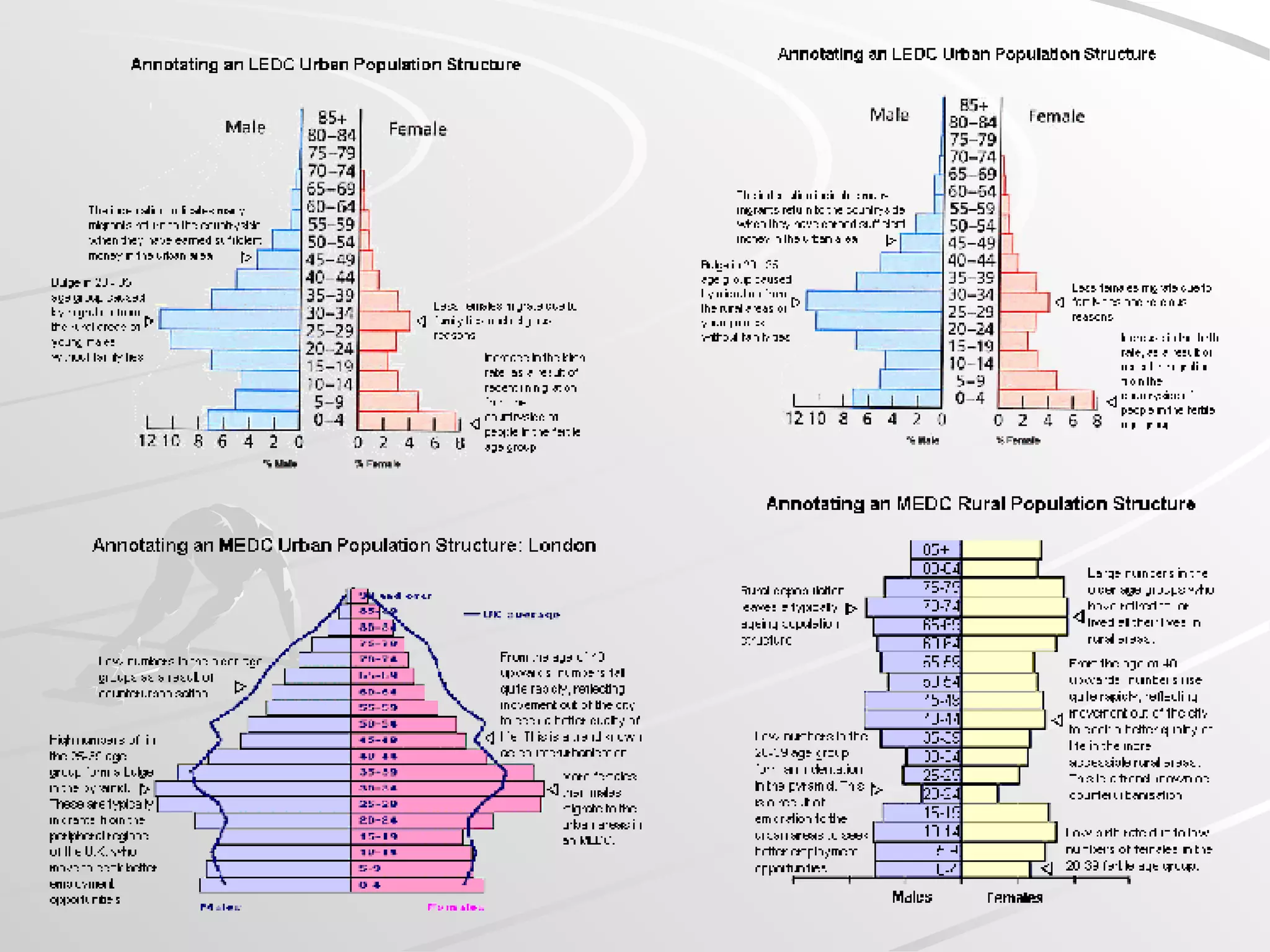 Population 4 Population Pyramids And The Dtm | PPT
