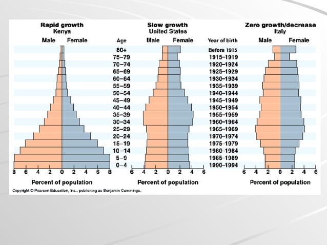 Population 4 Population Pyramids And The Dtm | PPT