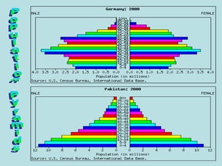 Germany Population Pyramid 2000