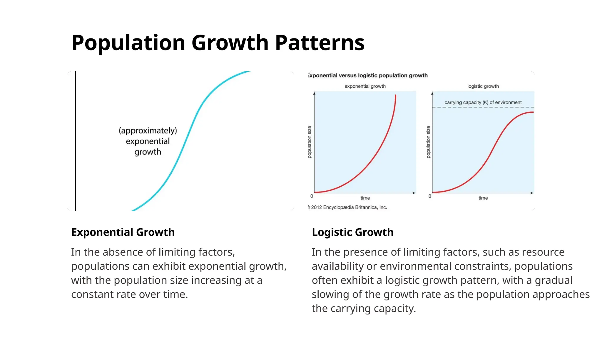Population Characteristics in brief.pptx | Environment | Science
