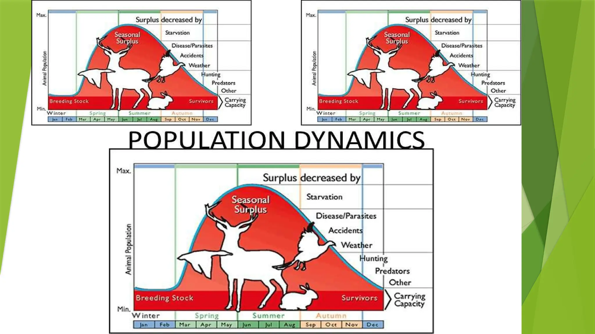 POPULATION-DYNAMIC.pptx12345030293929292929 | PPT