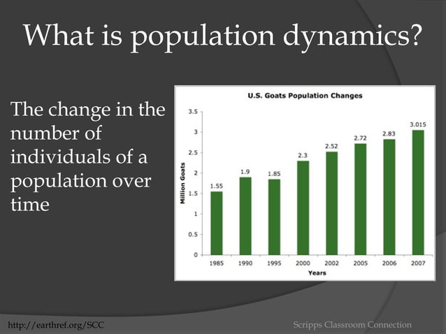 dinamika populasi fitoplankton dan population di perairan | PPTX