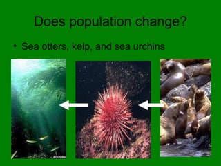 Population Ecology Intro | PPT