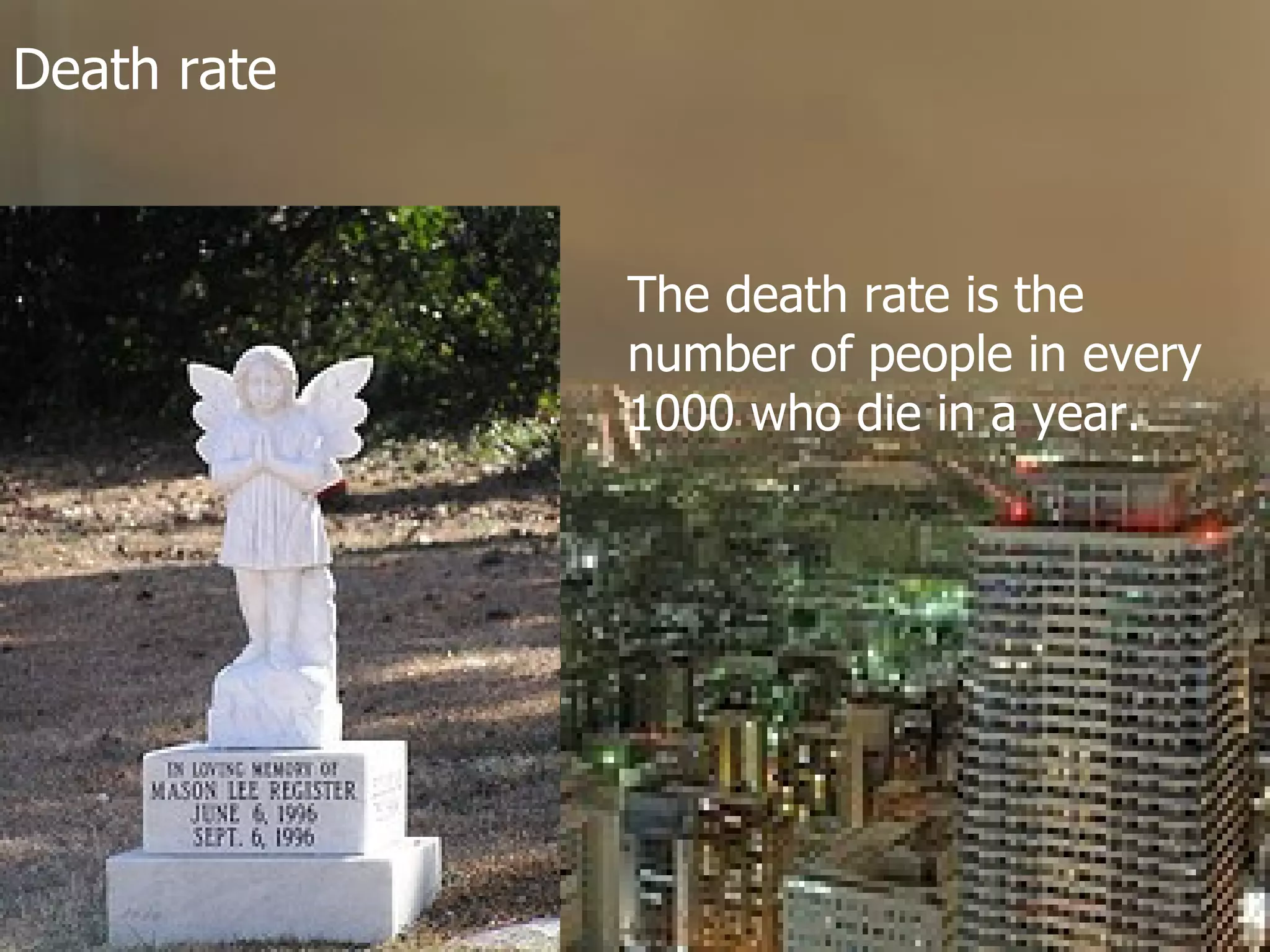 Population Key Words | PPT