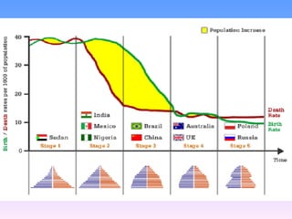 Population Structure | PPT