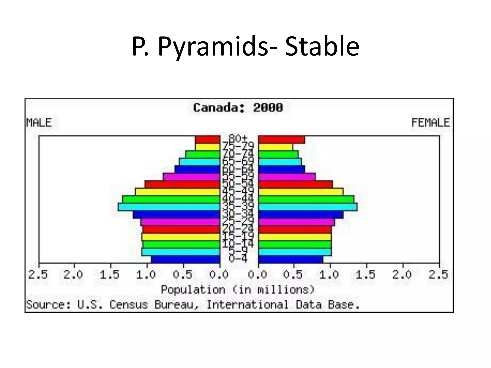 DTM and Population Pyramids | PPTX