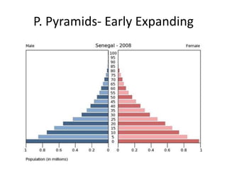 DTM and Population Pyramids | PPTX