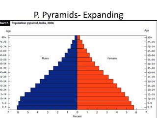DTM and Population Pyramids | PPTX