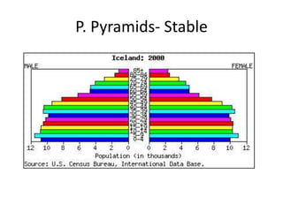DTM and Population Pyramids | PPTX
