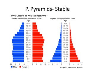 DTM and Population Pyramids | PPTX