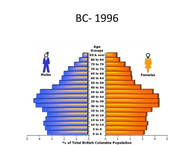 DTM and Population Pyramids | PPTX
