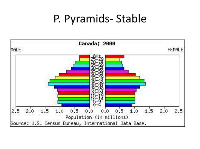 DTM and Population Pyramids | PPTX
