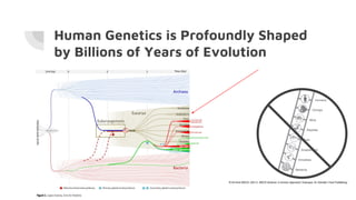 Population and evolutionary genetics 1 | PDF