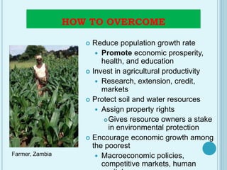 Population and food supply | PPTX
