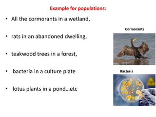 Population attributes | PPTX