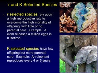 Population biology | PPTX